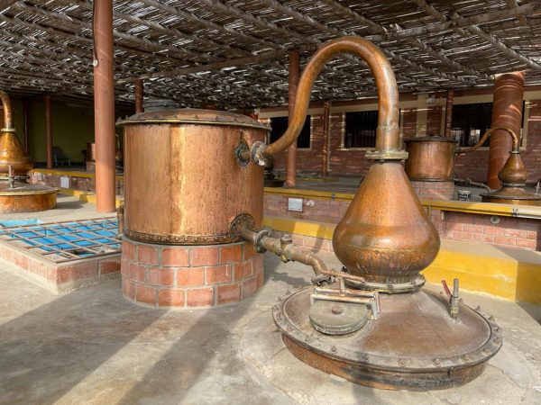 Proceso del Pisco – Las Damas de Pisco & Vino